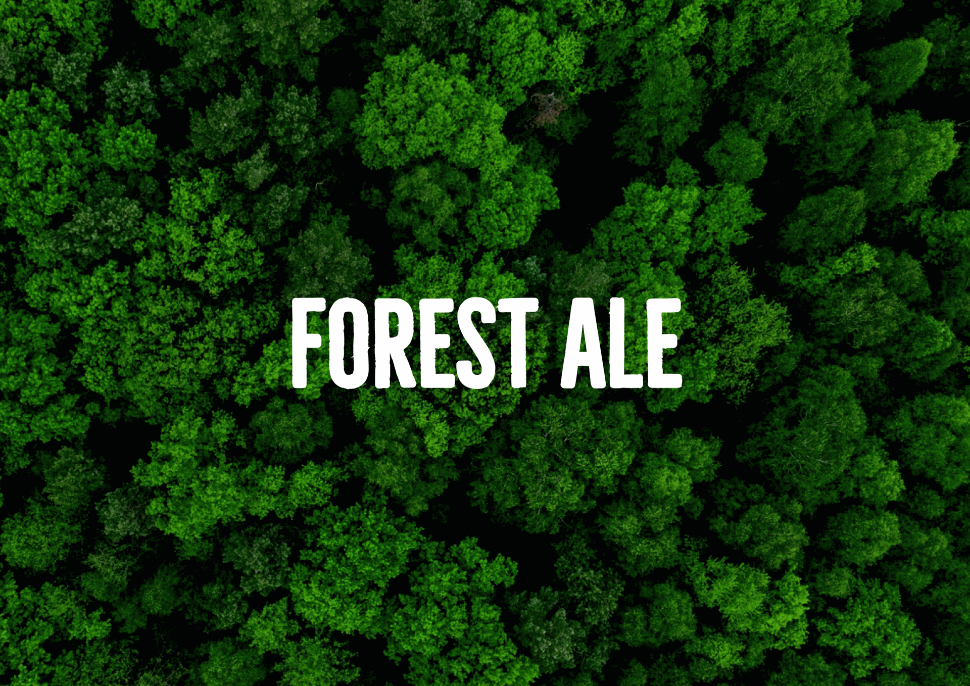 NIKIN und Stadtwächter präsentieren das Forest Ale | Stadtwächter